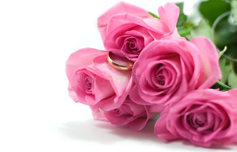 Five Pink Roses with Golden Wedding Ring Stock Photo - Image of bouquet ...