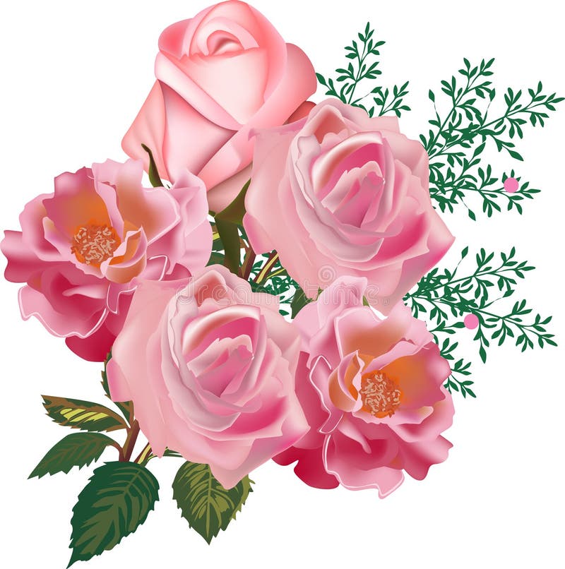 Roses and Pink Flowers Curl Stock Vector - Illustration of artwork ...