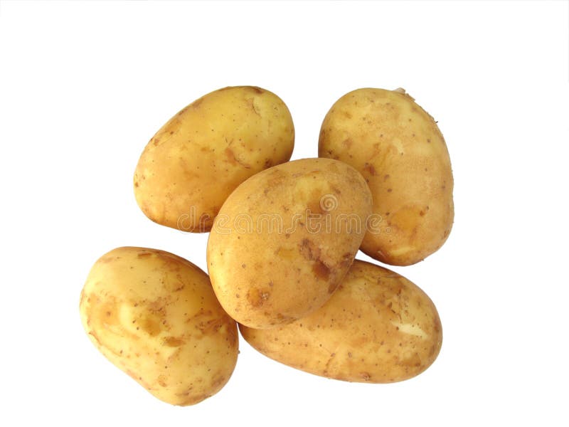 Five potato tubers stock image. Image of irish, five - 31666615