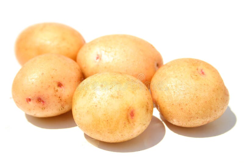 Five potatoes stock photo. Image of prepared, salad, nature - 15115688