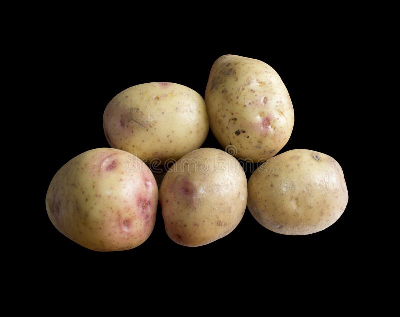 Five potatoes stock photo. Image of potatoes, nutrition - 46949818