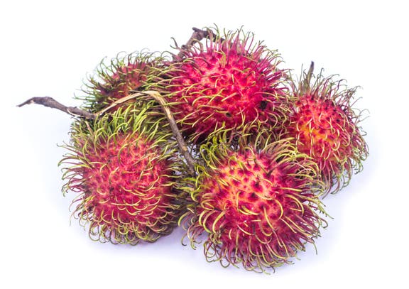 Five Rambutan stock photo. Image of natural, organic - 32032280