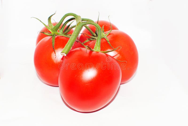 Five Red Ripe Tomatoes on a Branch on a White Background Stock Photo ...