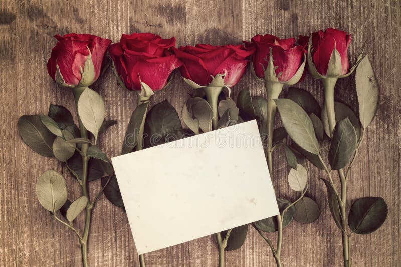 Five Red Roses and Blank Card Stock Illustration - Illustration of rose ...