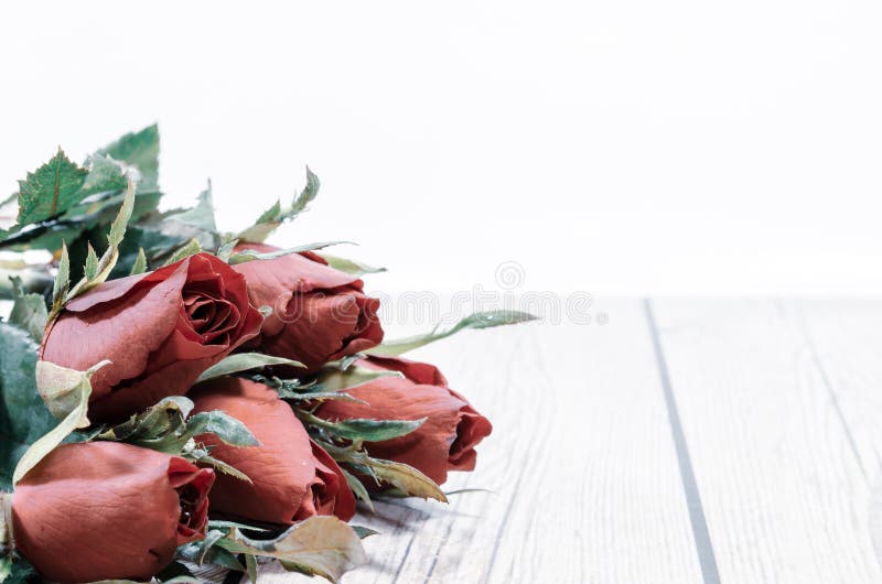 Five Red Roses stock image. Image of anniversary, beautiful - 135669487