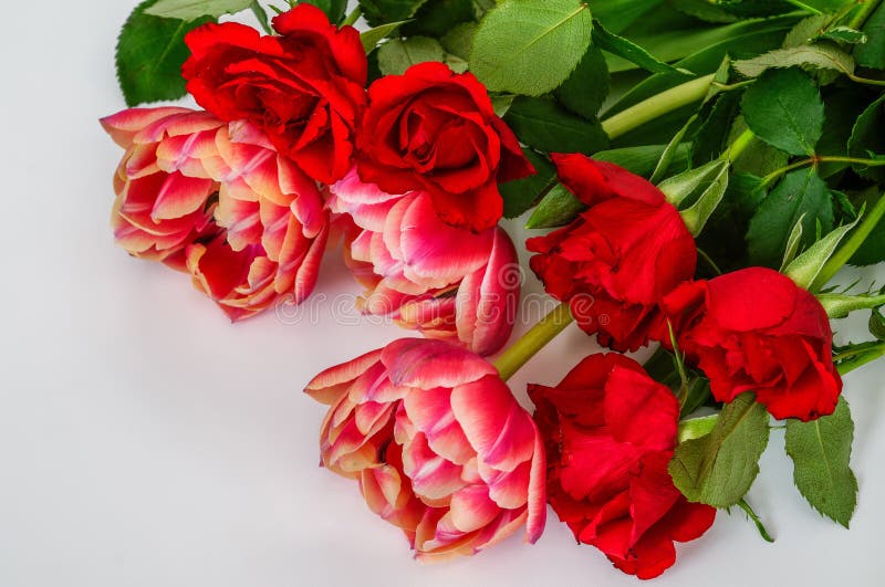 Five Red Roses Three Tulips Stock Photo - Image of petals, light: 213035686