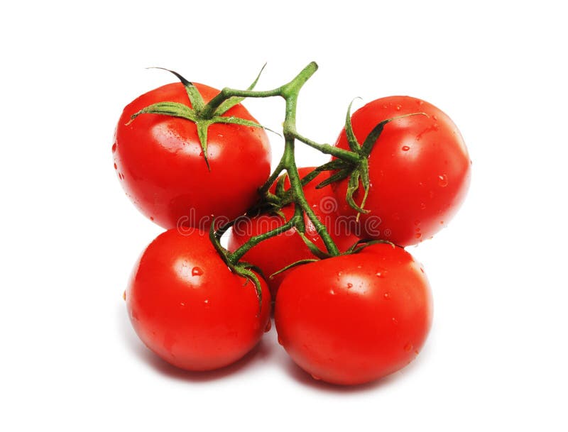 Five Red Tomatoes Isolated On White Picture. Image: 4879675