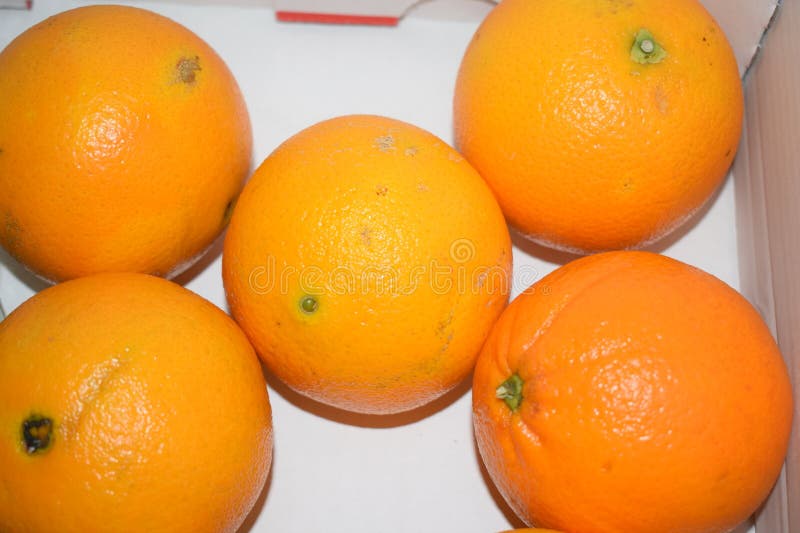 Five ripe oranges stock photo. Image of juice, orange - 357306724