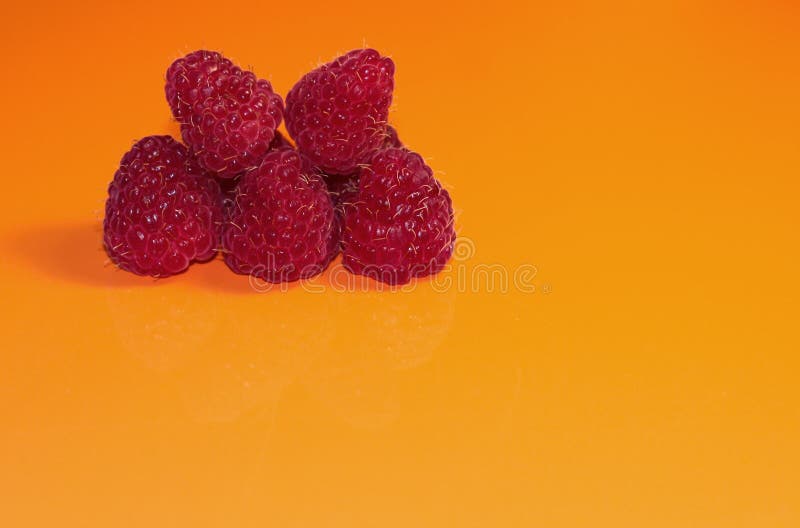 Five Ripe Raspberries on an Orange Background Stock Photo - Image of ...