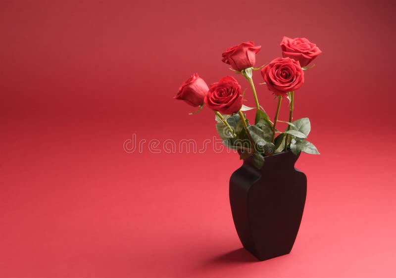 Bouquet of five roses stock photo. Image of roses, bright - 1804488