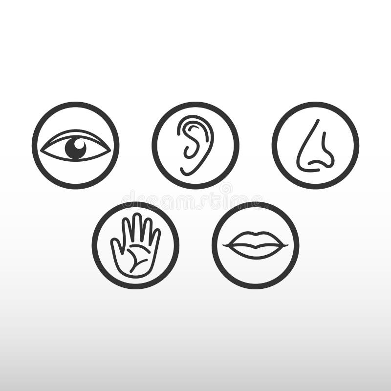 Five senses icon. stock vector. Illustration of sense - 106991425