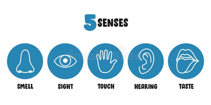 Five Senses Concept with Human Organs Stock Vector - Illustration of ...