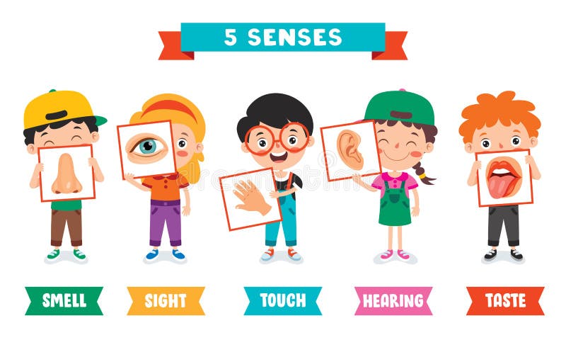 Five Senses Concept With Human Organs Stock Vector Illustration Of