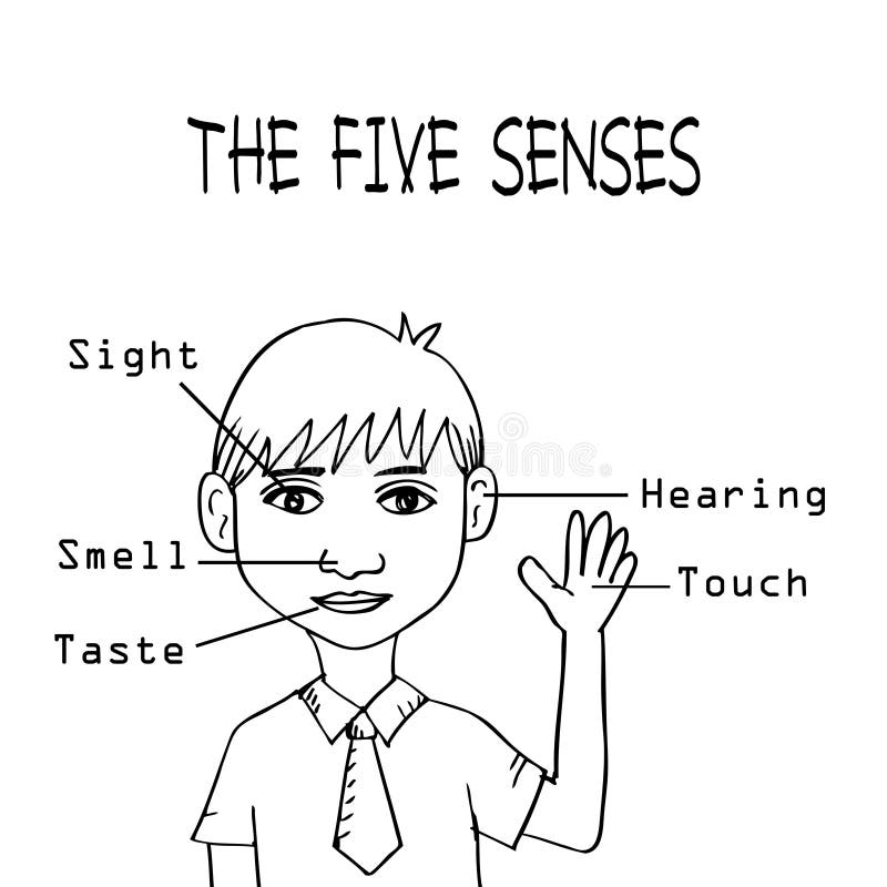 My Body`, Educational Info Graphic Chart for Kids Stock Vector ...