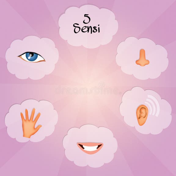 Five Senses stock illustration. Illustration of lips - 46720249