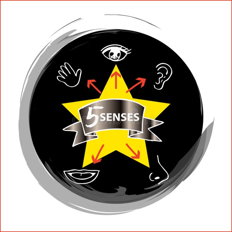 Cartoon Sens Stock Illustrations – 23 Cartoon Sens Stock Illustrations ...