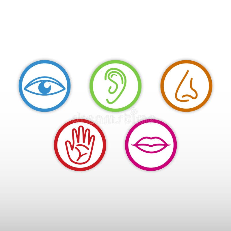 Five senses icon. stock vector. Illustration of hear - 106991432