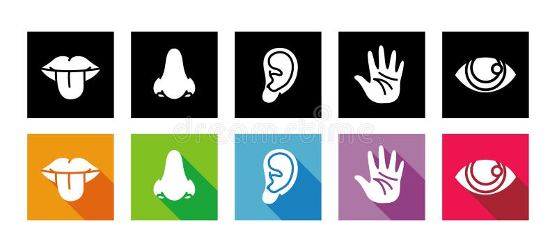 Five Senses Icon Set, Collection of Human Senses Vector Image, Flat ...