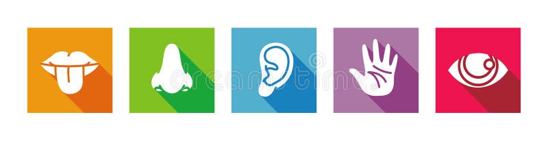 Five Senses Icon Set, Collection of Human Senses Vector Image, Flat ...