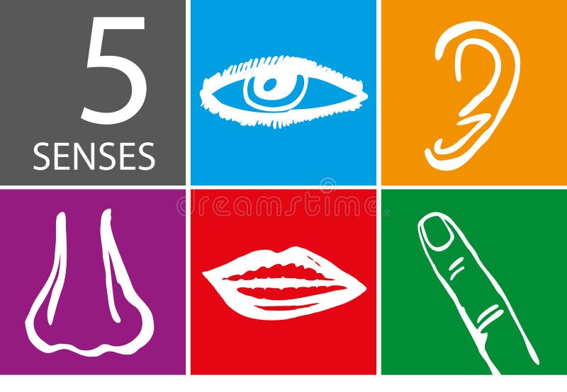 Five Senses Clipart Stock Illustrations – 100 Five Senses Clipart Stock ...