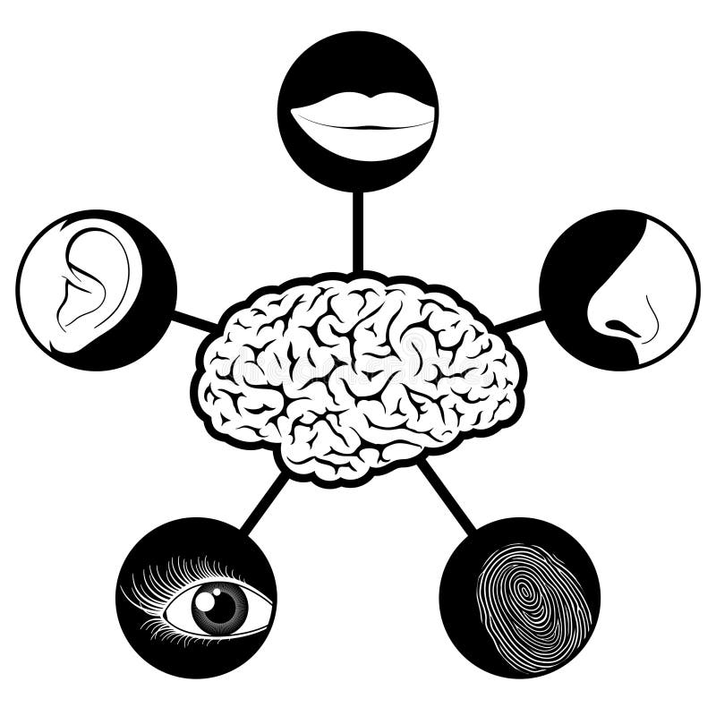 Five Senses Icons Controlled by Brain Stock Vector - Illustration of ...