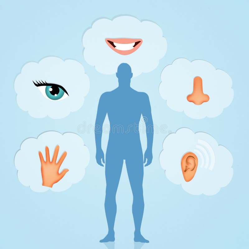 The five senses stock illustration. Illustration of taste - 69220850