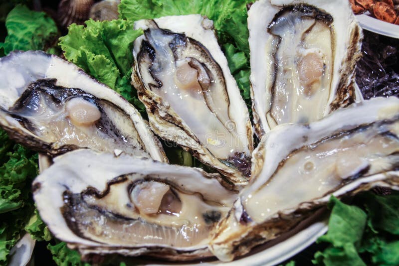Five Shells Placed on Green Vegetables. Stock Image - Image of rounded ...
