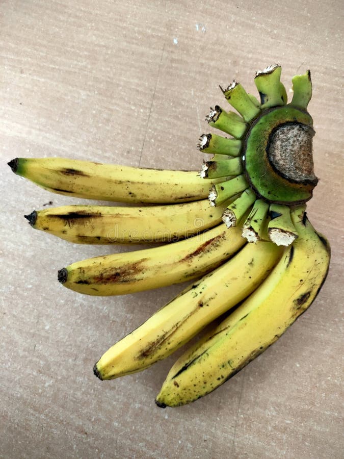 Five slice fresh banana stock image. Image of banana - 225995697