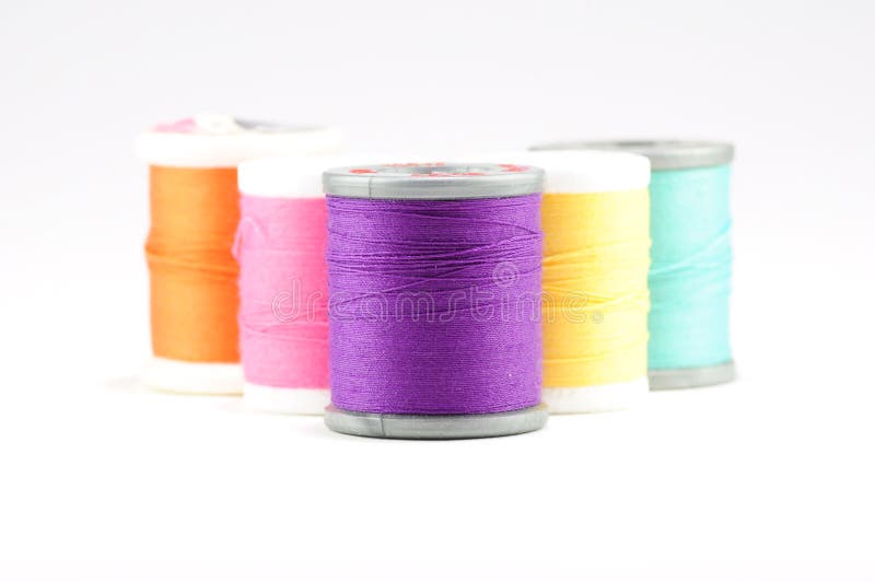 Purple and White Crocus Flowers Stock Photo - Image of purple, blossom ...