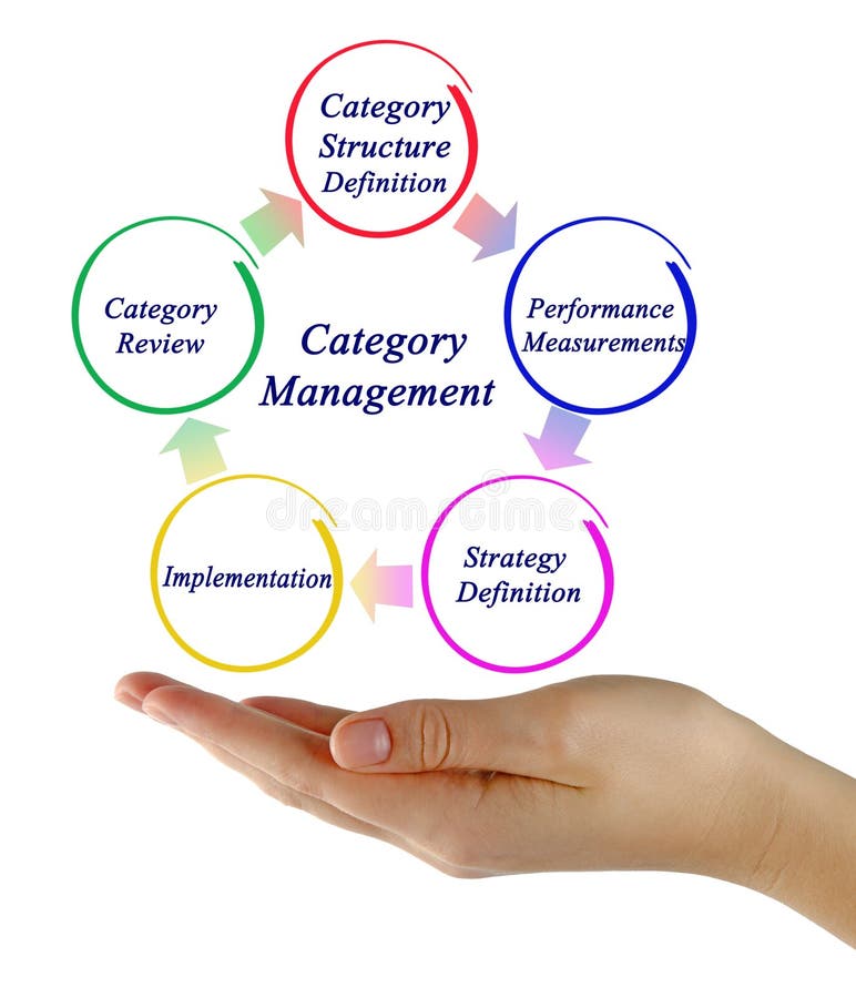 Stages of Category Management Stock Image - Image of expert, female ...