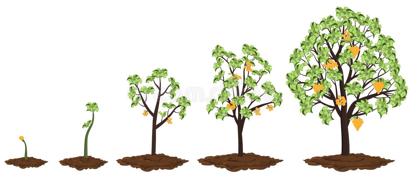 Five Stages Growing Stock Illustrations – 37 Five Stages Growing Stock ...