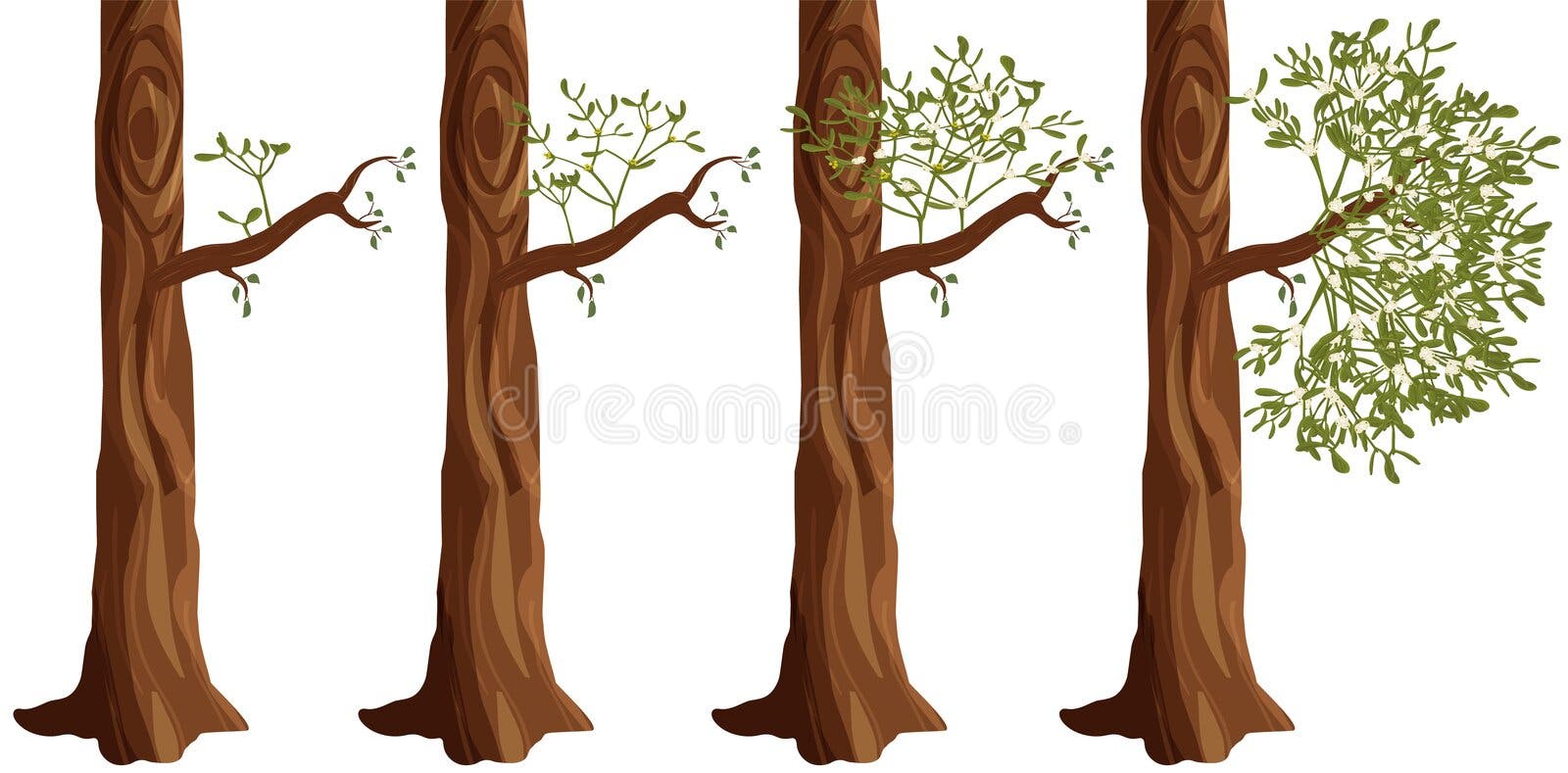 Five Stages of Growing Tree. Stock Vector - Illustration of ecology ...