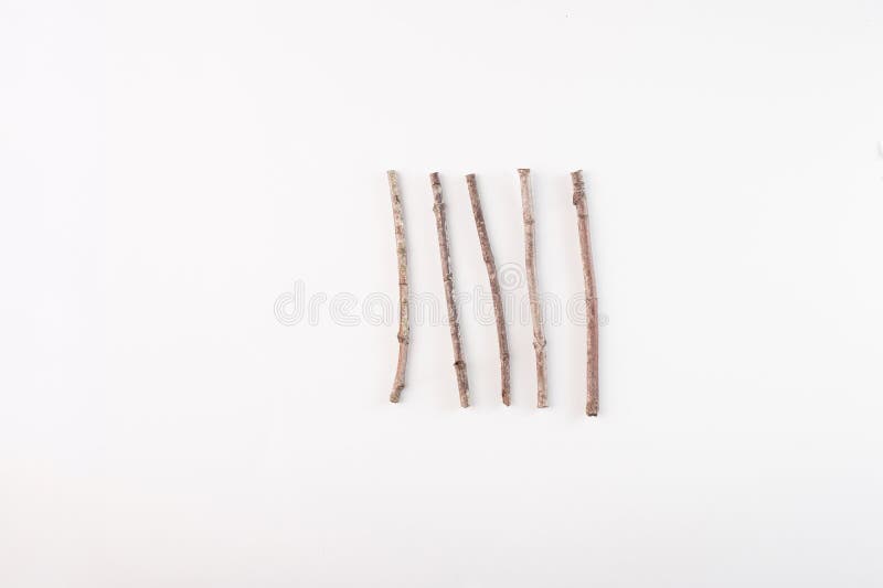 Five Sticks of Varying Lengths Arranged in Parallel on Light Background ...