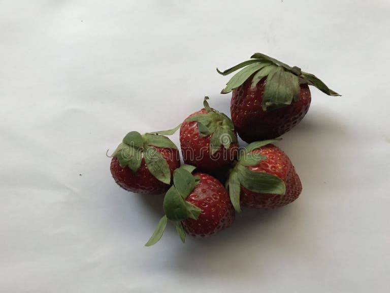 Five Strawberries Isolated on White Background . Strawberry Isolated ...