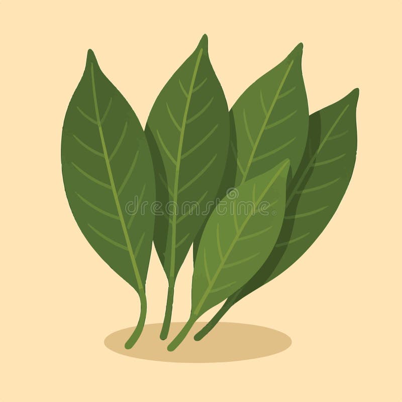 Five Stylized Green Leaves are Arranged Overlapping One Another Against ...