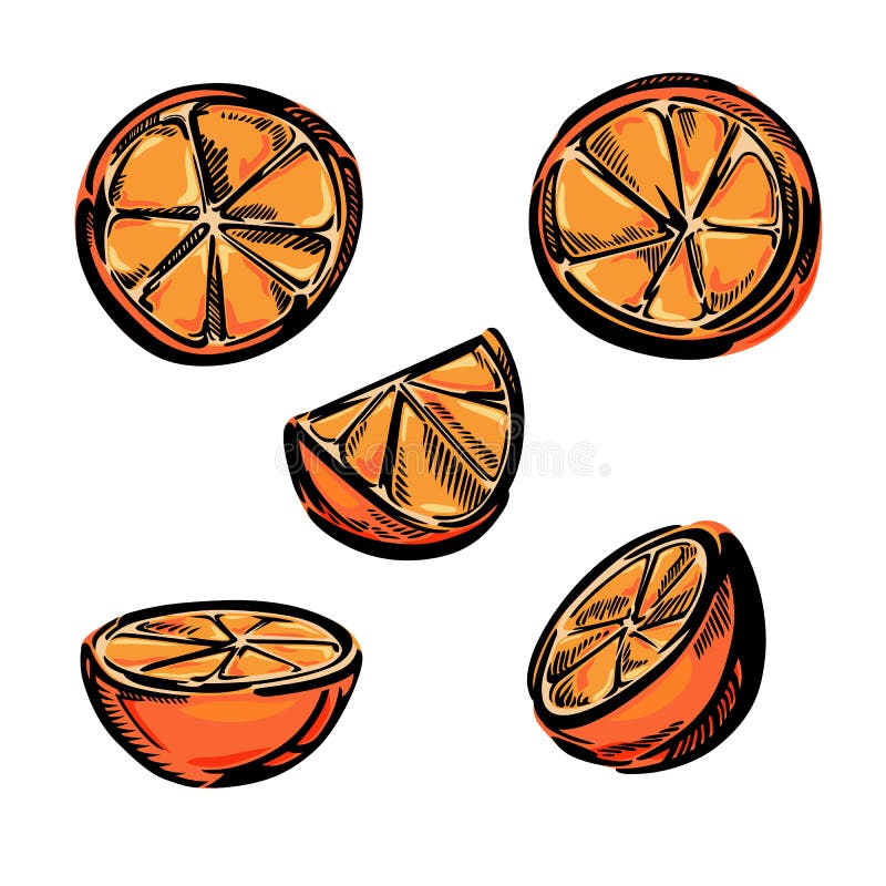 Five Stylized Pieces of Orange. Stock Vector - Illustration of ...