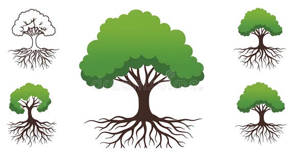 Five Stylized Tree Illustrations with Prominent Root Systems. the ...