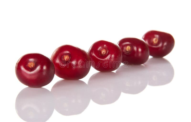 Five Sweet Cherries, are Laid Out in Row Stock Image - Image of vitamin ...