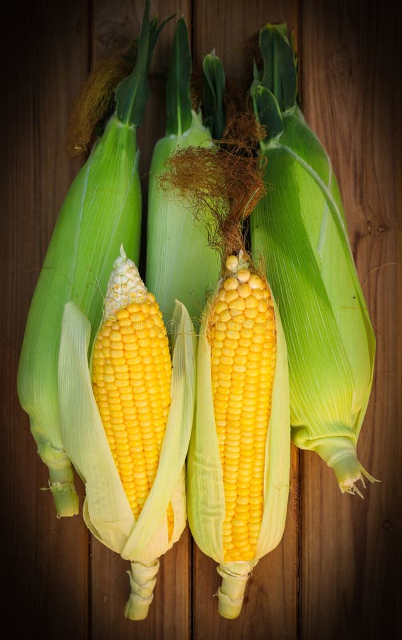 Five Sweet Small Peppers after Class Stock Photo - Image of colors ...