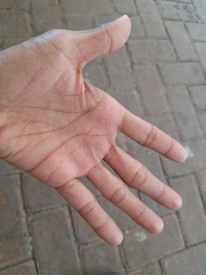 Five Thin Fingers of Hand for Working Hard Stock Photo - Image of chest ...