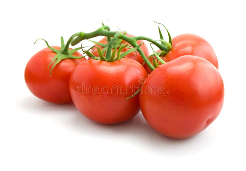 Five tomatoes stock photo. Image of dieting, eating, brightly - 2911294
