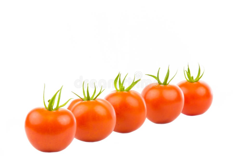 Five Tomatoes 4 stock photo. Image of freshly, cherry - 34186868
