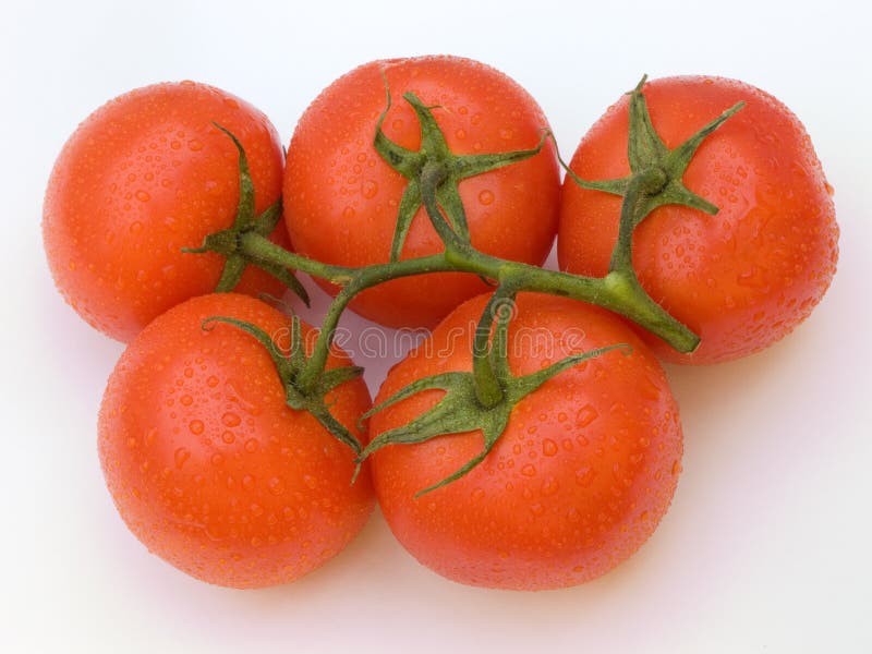 Five Tomatoes On White. Picture Image: 5527110