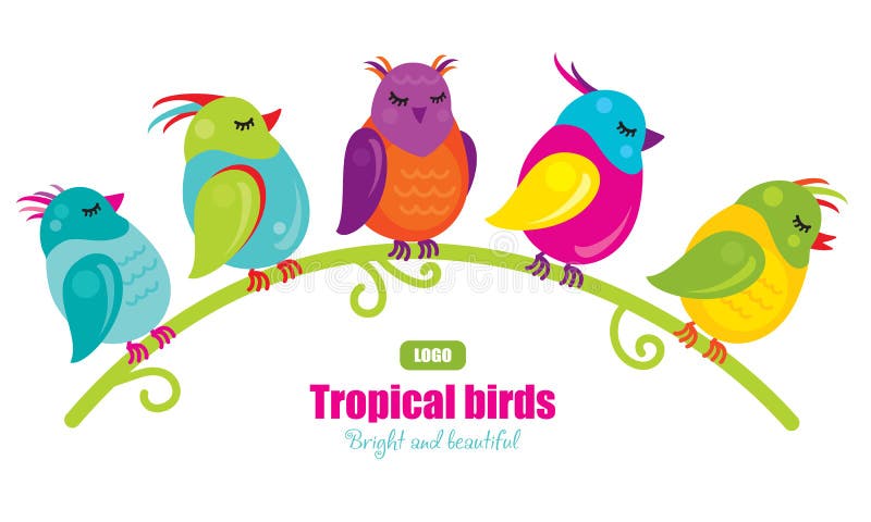 Five colorful cute birds stock vector. Illustration of baby - 34217482