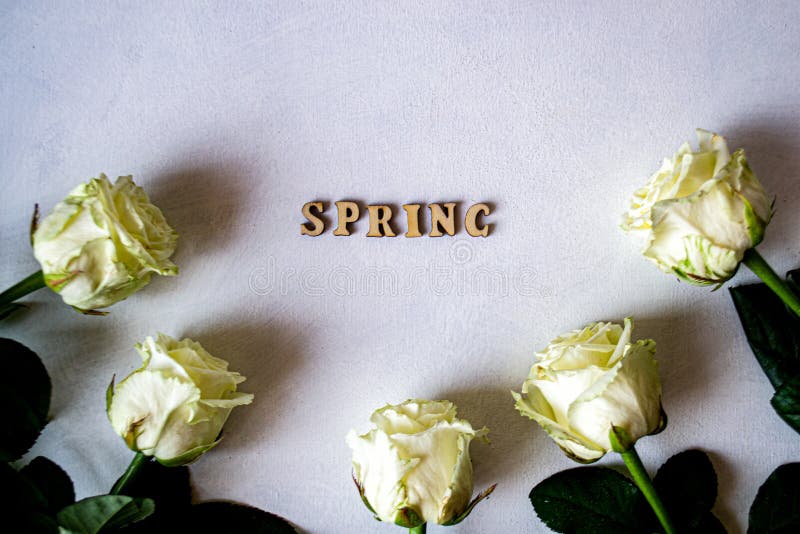 983 Five White Roses Stock Photos - Free & Royalty-Free Stock Photos ...