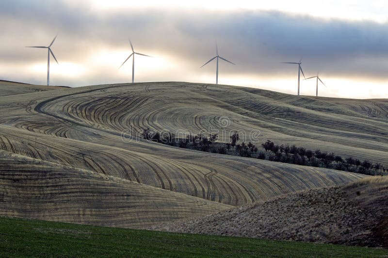 Five Wind Turbines Under a Cloudy Sky on the Palouse, Washington State ...