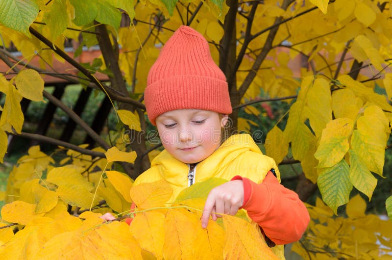 Five-year-old Girl Next To Autumn Yellow Tree is Pointing at Something. Stock Photo - Image of ...