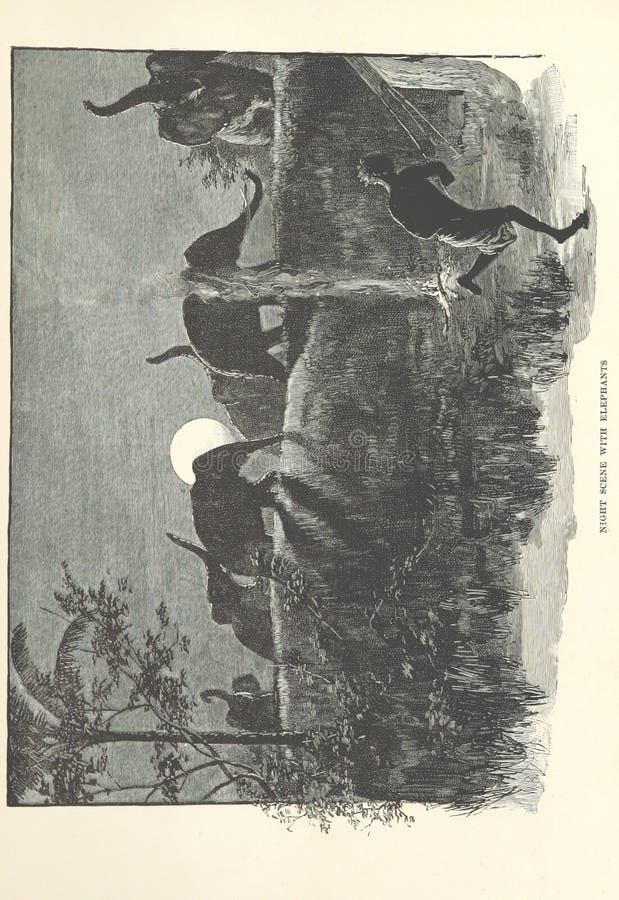 British Library Digitised Image From Page 225 Of "Five Years With The ...