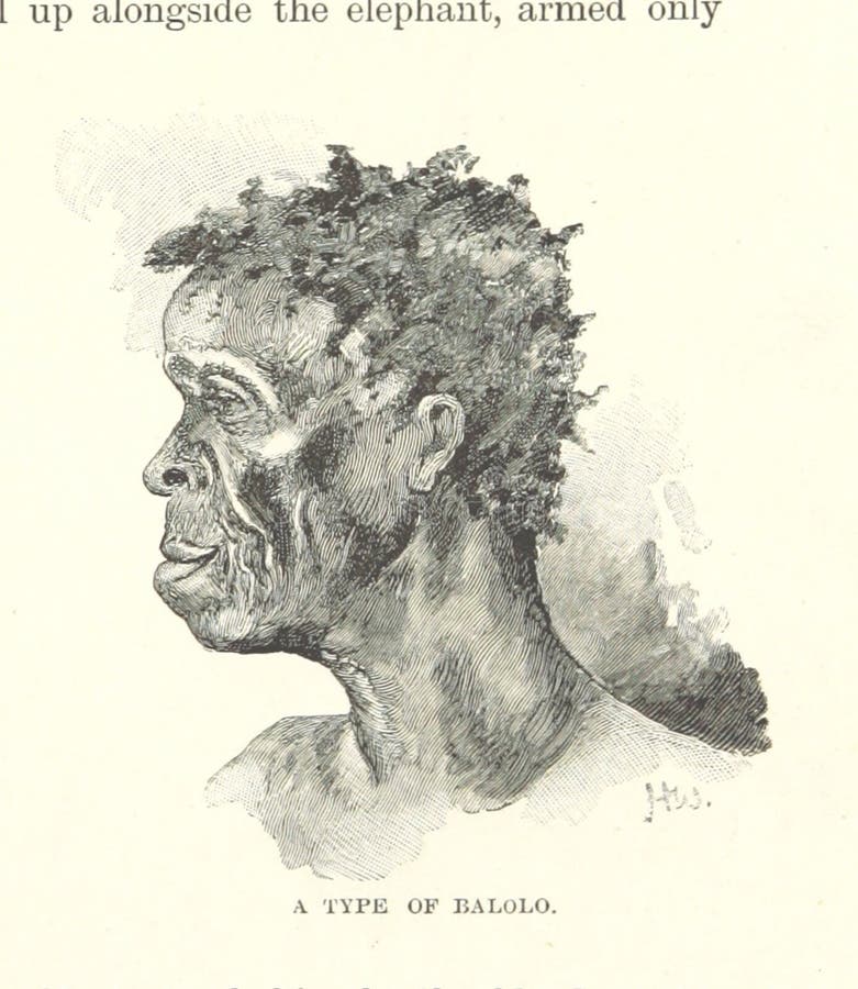 British Library Digitised Image from Page 143 of "Five Years with the ...