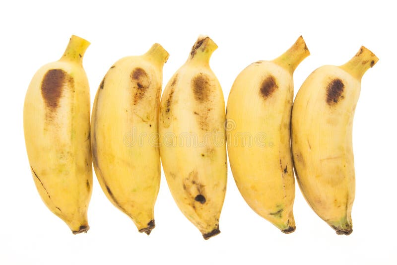 266 Five Bananas Photos - Free & Royalty-Free Stock Photos from Dreamstime
